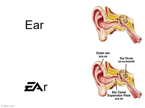 Ear Imgflip