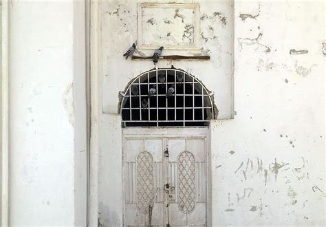 وادی طوی، محل ملاقات امام زمانعج با یارانش در روزگار جدید مکه تصاویر تسنیم