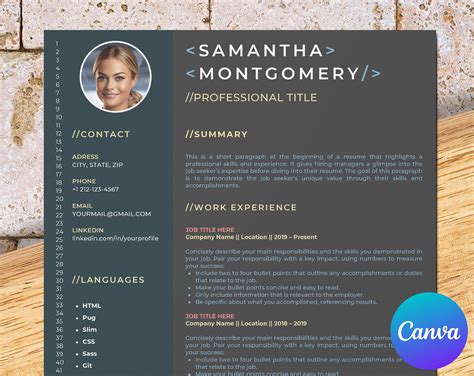 Software Engineer Resume Template For Canva Web Developer Software Developer It Programmer