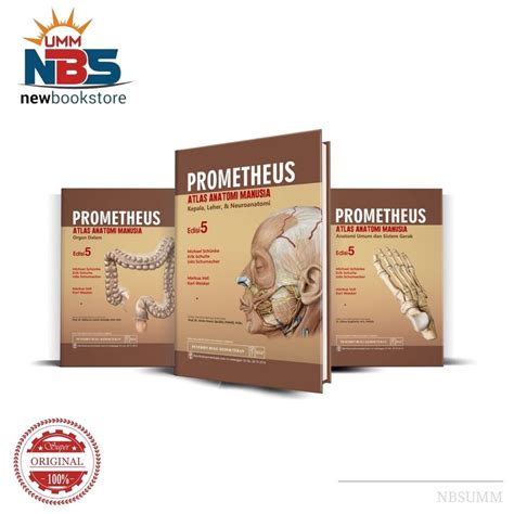 Jual Prometheus Atlas Anatomi Manusia Kepala Leher And Neuroanatomi