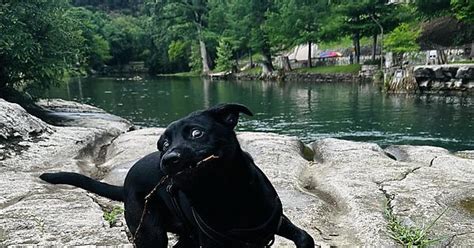 Found A Stick Album On Imgur