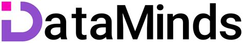 Dataminds — Data And Software Para Pmes