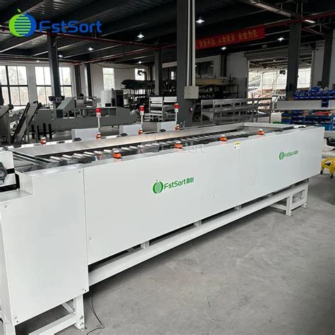 Fruit Sizing Machine Fruit Classification Stone Fruit Classifying Machine Plum Size Sorter