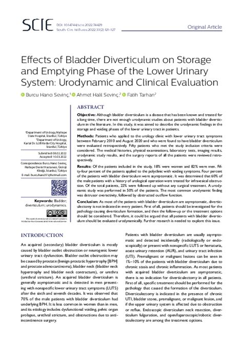 Pdf Effects Of Bladder Diverticulum On Storage And Extraction Phase