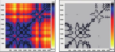 1 unthresholded recurrence plot and thresholded recurrence plot for