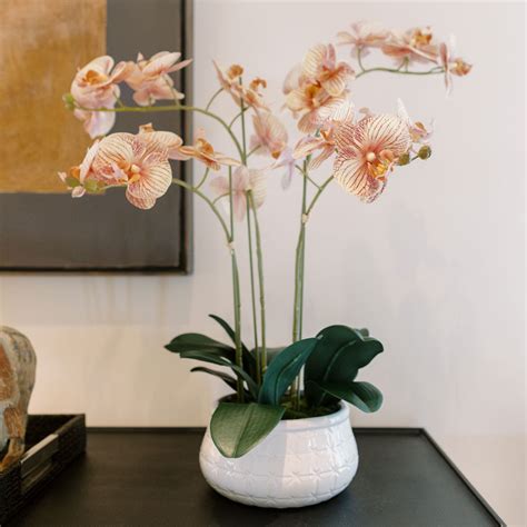 Shop Luxurious Artificial Orchid Arrangements Collection At Cg Hunter