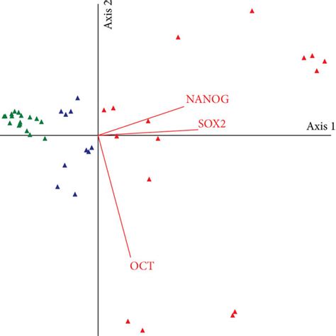 Multivariate Analyses Cluster GBM Patients According To Transcriptomic