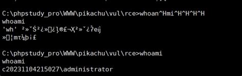 基础入门 正向shell和反弹shell Csdn博客
