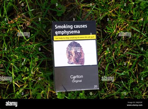 A Discarded Cigarette Packet Pack On Grass Background With Diseased Lung Caused By Smoking
