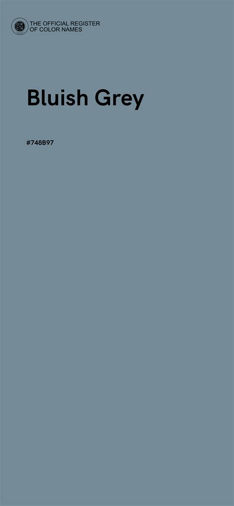Bluish Grey Color 748b97 The Official Register Of Color Names