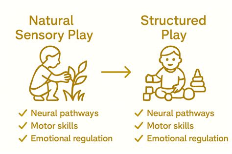 Comparison Of Natural Sensory Play And Structured Play Benefits