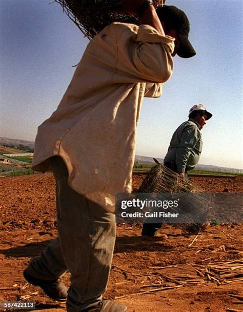 Toiling Photos And Premium High Res Pictures Getty Images