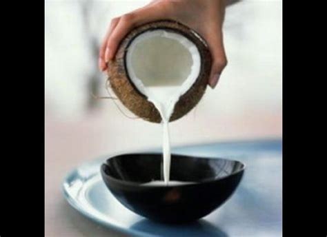 The Nine Commandments Of Eco Sex Getting It On The Green Way In 2011