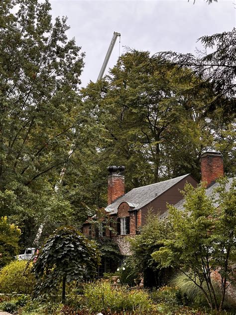 Sharp Edge Tree And Landscape