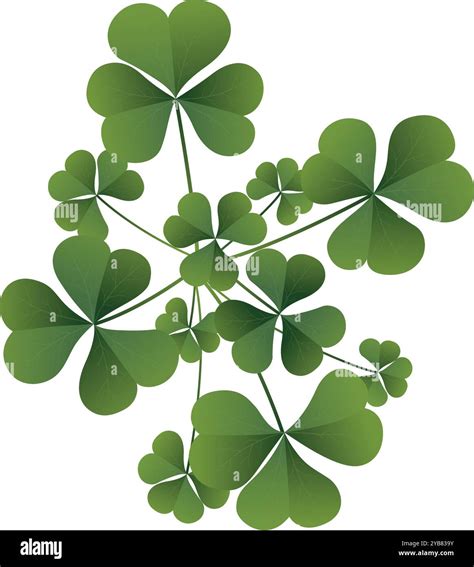 Three Leaf Clover Plant Trifolium Stock Vector Image And Art Alamy