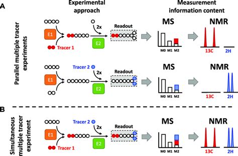 Tracer Isotopes