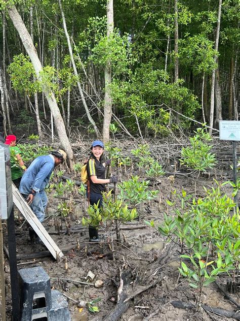 Untitled Phama Photo Gallery Flickr