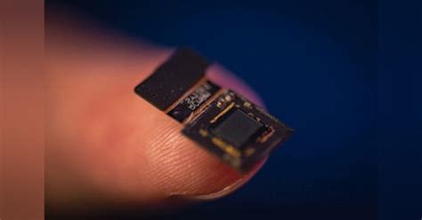 Flat Lensless Fluorescence Microscope Has Several Bioimaging Uses