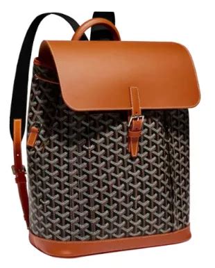 Goyard Black And Brown Trim Alpin Mm Backpack
