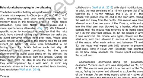 Prenatal Programming Model And Behavioral Phenotyping For Prenatal Download Scientific Diagram