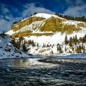 Visiting Yellowstone In May Wildland Trekking