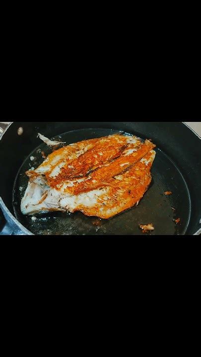 دانی که چیست دولت؟دیدار یار دیدن صدایزندگی زندگی Youtube