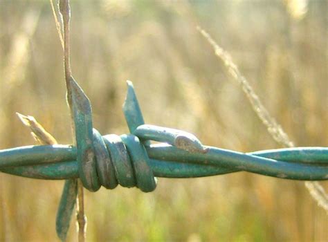 1920x1421 Barb Wire Desktop Wallpaper Coolwallpapers Me