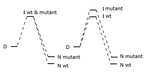 Phi Value Analysis Alchetron The Free Social Encyclopedia