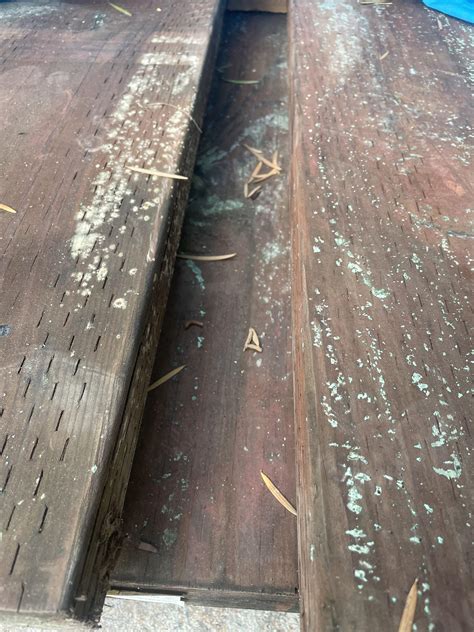 Should I Be Concerned About This Staining On Pressure Treated Lumber