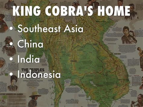 King Cobra Habitat Map
