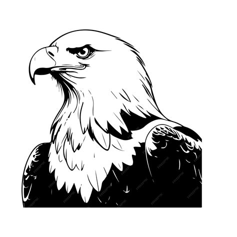 Eagle Line Art Vector Silhouette With White Background Premium Ai