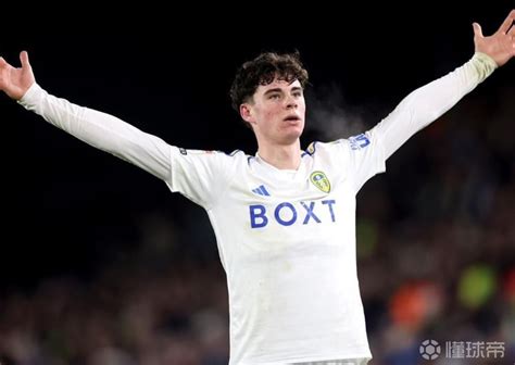 罗马诺：利兹联拒绝了布伦特福德对阿奇 格雷的报价