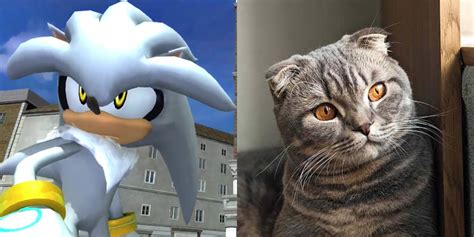 Silverequation On Tumblr