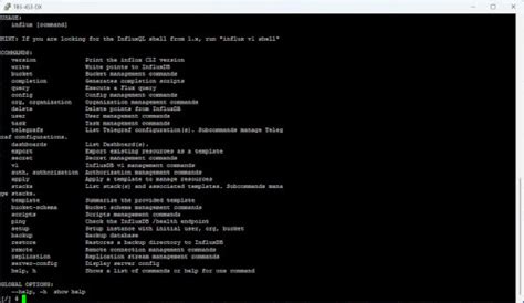 Influx Client Cli Myqnap