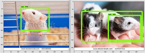 Data Preparation — Transfer Learning Using Tensorflows Object