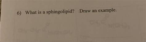 Solved 6 What Is A Sphingolipid Draw An Example