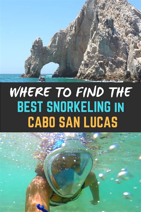 Best Snorkeling In Cabo San Lucas Chileno Bay Snorkel Guide Artofit