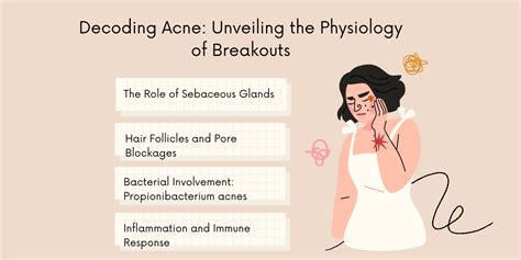 Acne Understanding The Physiology Behind Its Formation