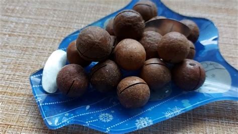 орех макадамия польза Youtube