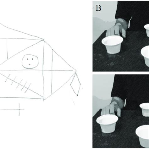 Delayed Visuospatial Memory Test And Motor Skill Task A Participants Download Scientific