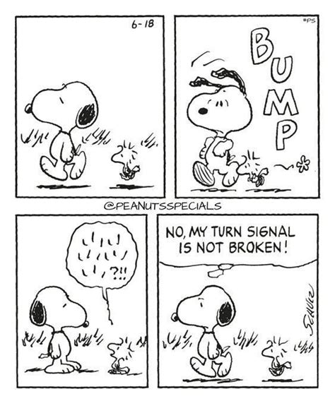 Pin By Ruthann Mccoy On Snoopy And Woodstock Snoopy Comics Snoopy