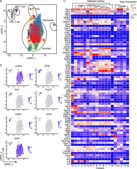 Scrna Seq Analysis Of Lilrb4 Expression In Tumor Infiltrated Cells