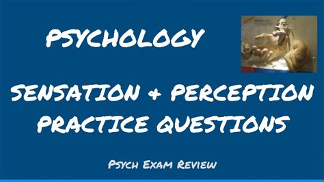 Sensation And Perception