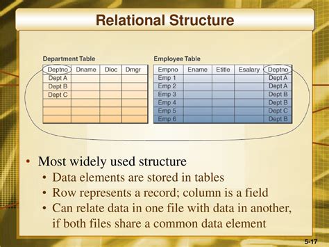 Data Resource Management Ppt Download