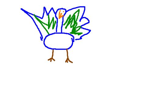 Pavão Desenho De Tartatopperson Gartic