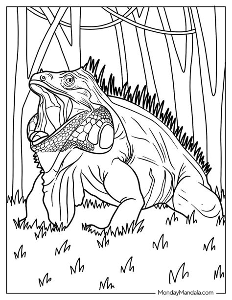 24 Lizard Coloring Pages Free Pdf Printables