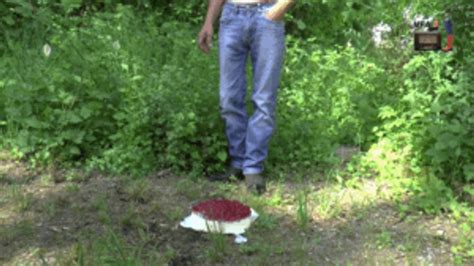 Pissed Cream Cake For My Sendras Men Feet Action Clips4sale