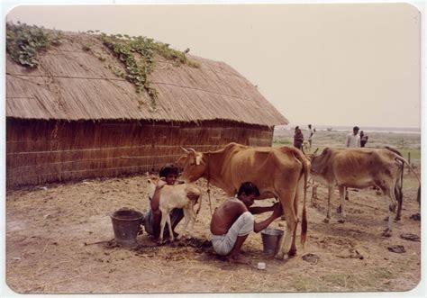 Wasif Munem · Gwaertler Stiftung