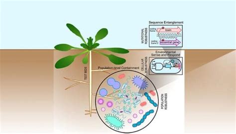 Building Safeguards For Genetically Engineered Microbes