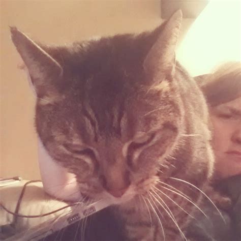 Dilly Is A Willy On Tumblr